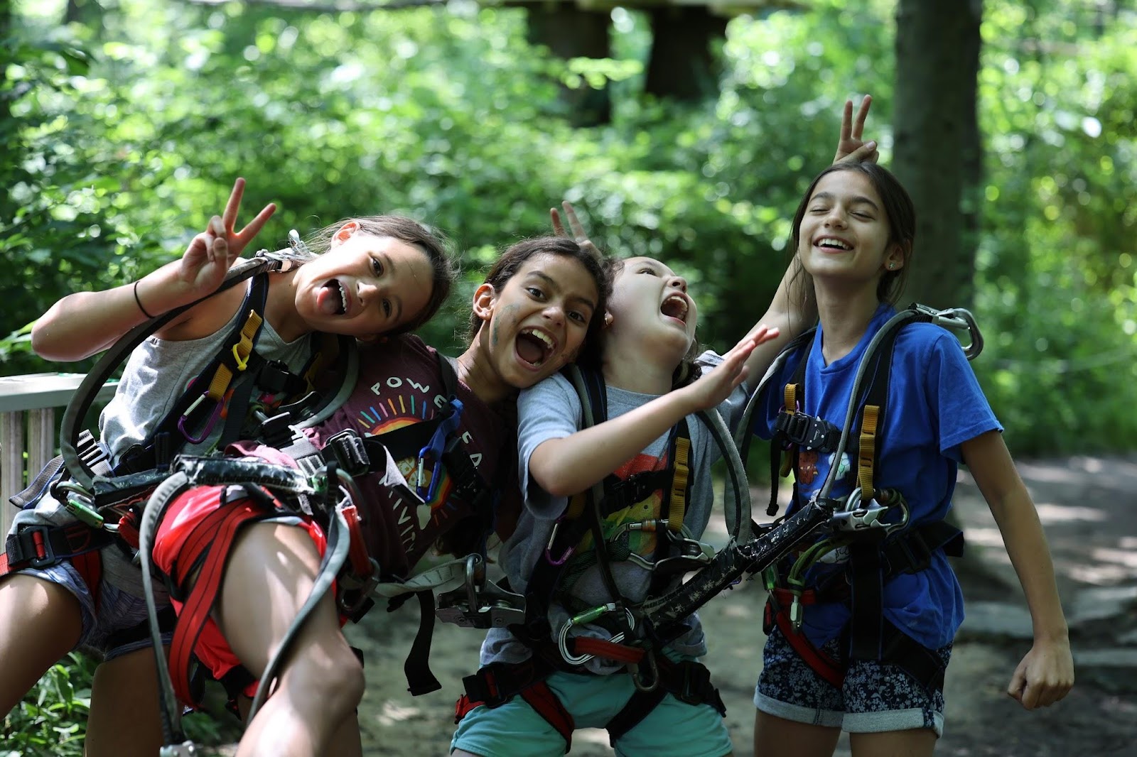 Best Pic of 2022 - Summer At Sandy Spring